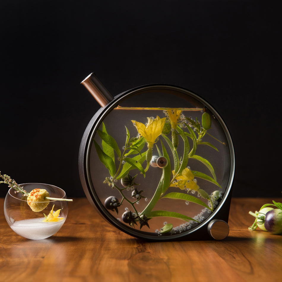 Porthole Recipe - Chocolate Strawberry Margarita – Crucial Detail